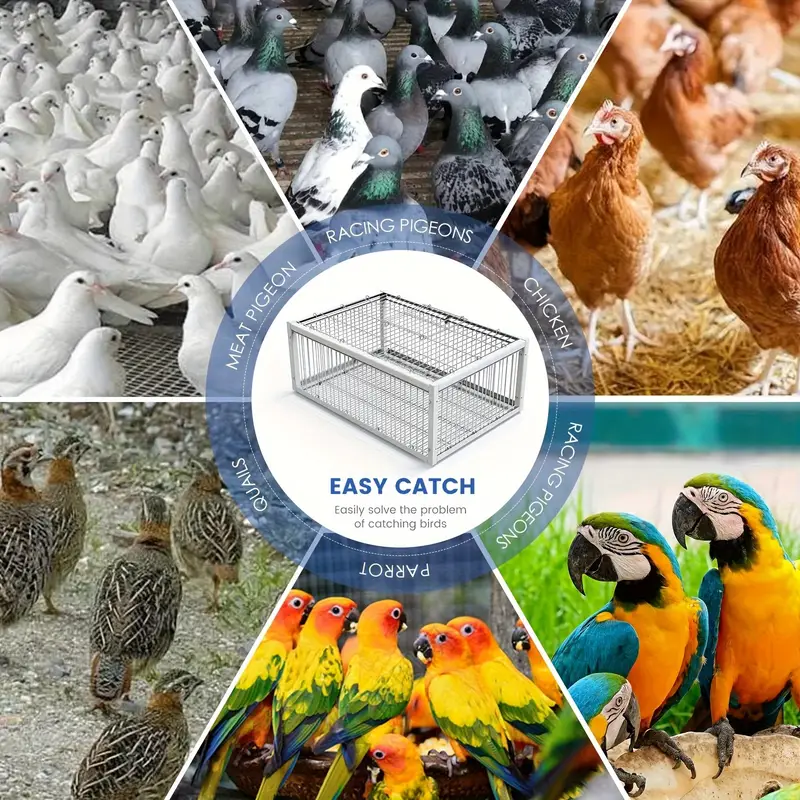 Pigeon Trap Cage Stainless Steel Kulungan ng kalapati (4 door ) Fully ...