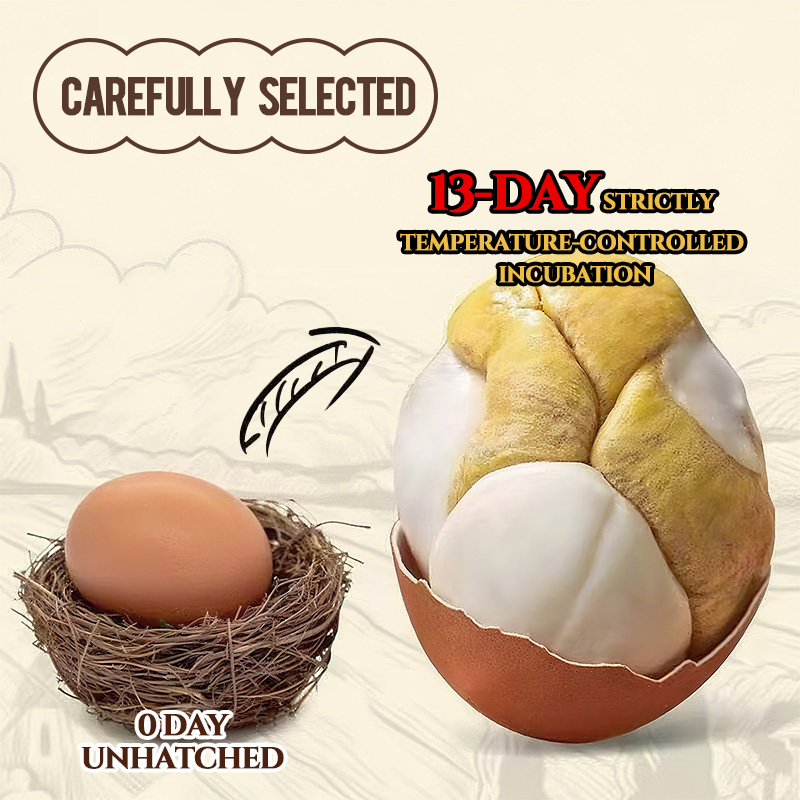 Selected Balut/Balot Eggs Rich in Protein Spicy & Five Spices flavor to ...