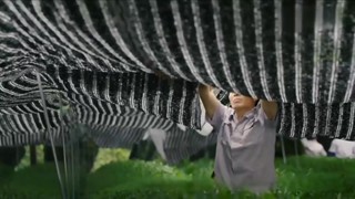 Fanji European Standard Matcha 歐標抹茶 Ceremonial Grade Matcha 50g Green ...