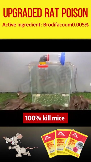 [rats die outside the house] 50g racun tikus paling kuat 100% valid rat ...