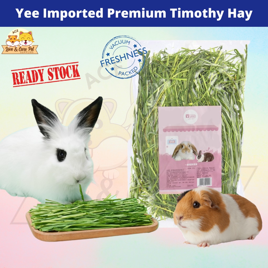 【NEW】Yee Imported Nutritious First-Cut / 2nd-Cut Timothy Hay for Rabbit ...