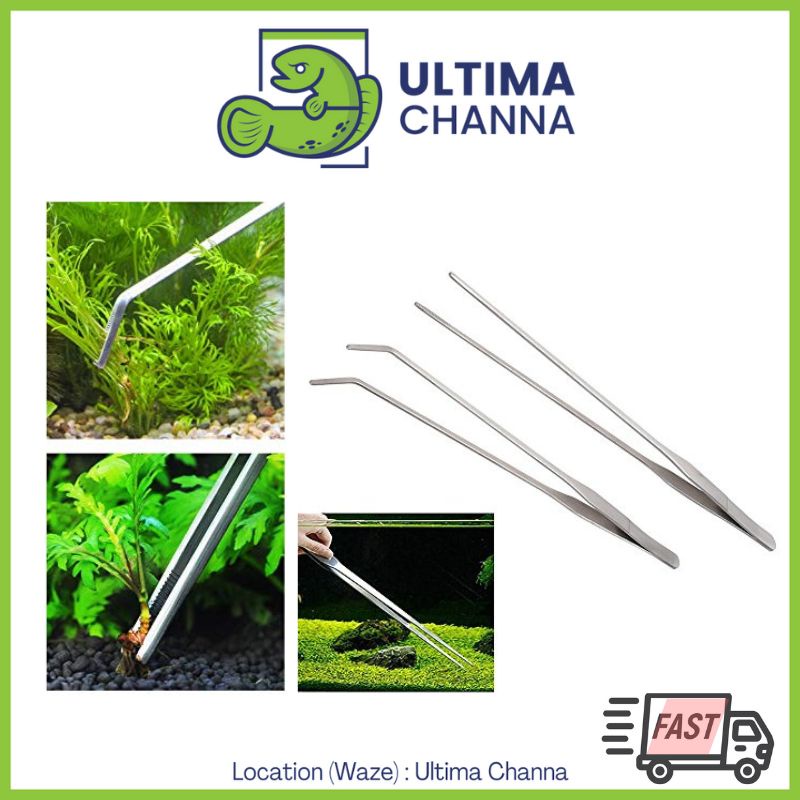 Aquarium Tweezer for aquascape & fish tank 38cm 27cm 12.5cm (straight ...
