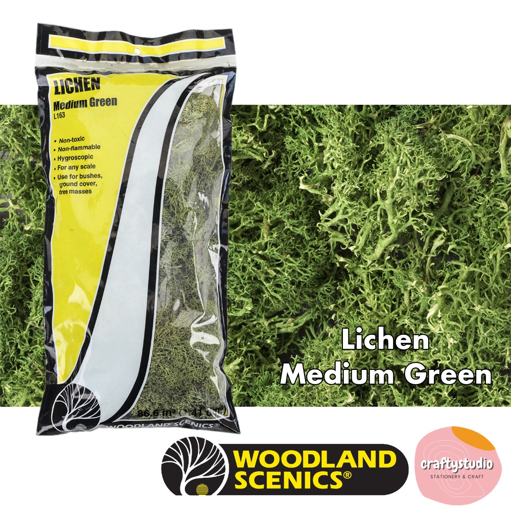 Woodland Scenics Lichen Medium Green L163, Scenery Model, Fake Grass ...