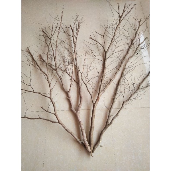 Dekor ranting kayu Ramadan Raya 2025 : 2 batang ranting kayu tahan lama ...