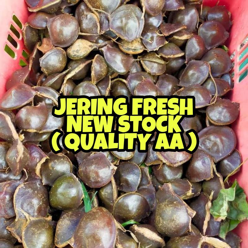 JERING MUDA TUA 1KG pos jnt (BOLEH TENGOK VIDEO) / CAMBAH / TUA RELONG ...