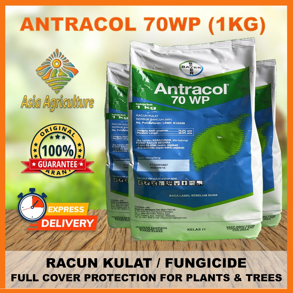 ASIA AGRICULTURE ANTRACOL 70WP 1KG RACUN KULAT FUNGICIDE | Shopee Malaysia