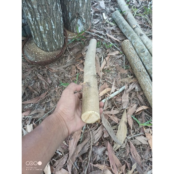 Batang kayu,wood stick( 2inch diameter) | Shopee Malaysia
