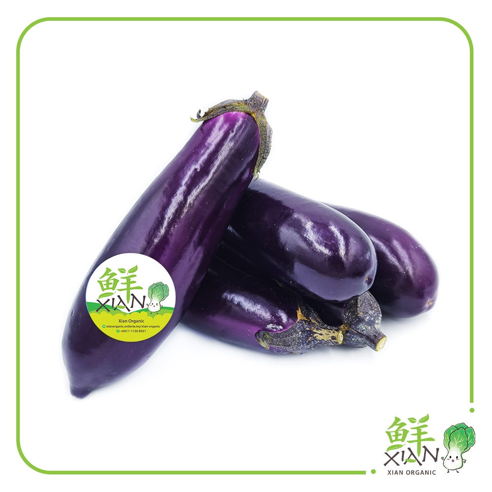 Organic Terung Mutiara (450g-550g) | Shopee Malaysia