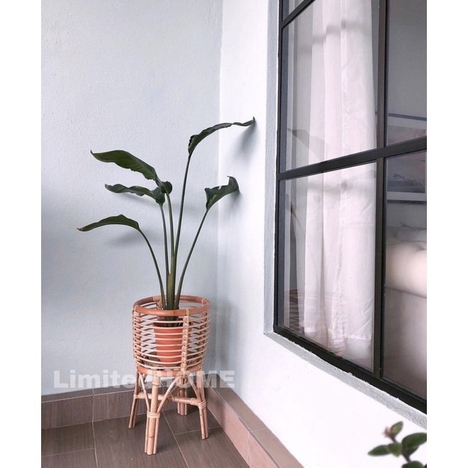 READY STOCK_PASU ROTAN (RATTAN PLANT POT) | Shopee Malaysia