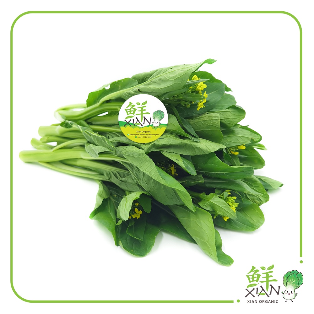 Organic Choysum Flower (250g) | Shopee Malaysia