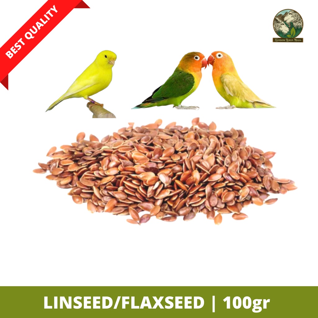 Linseed FLAXSEED 100gr Best High Nutrition Bird Feed For All Types Of ...