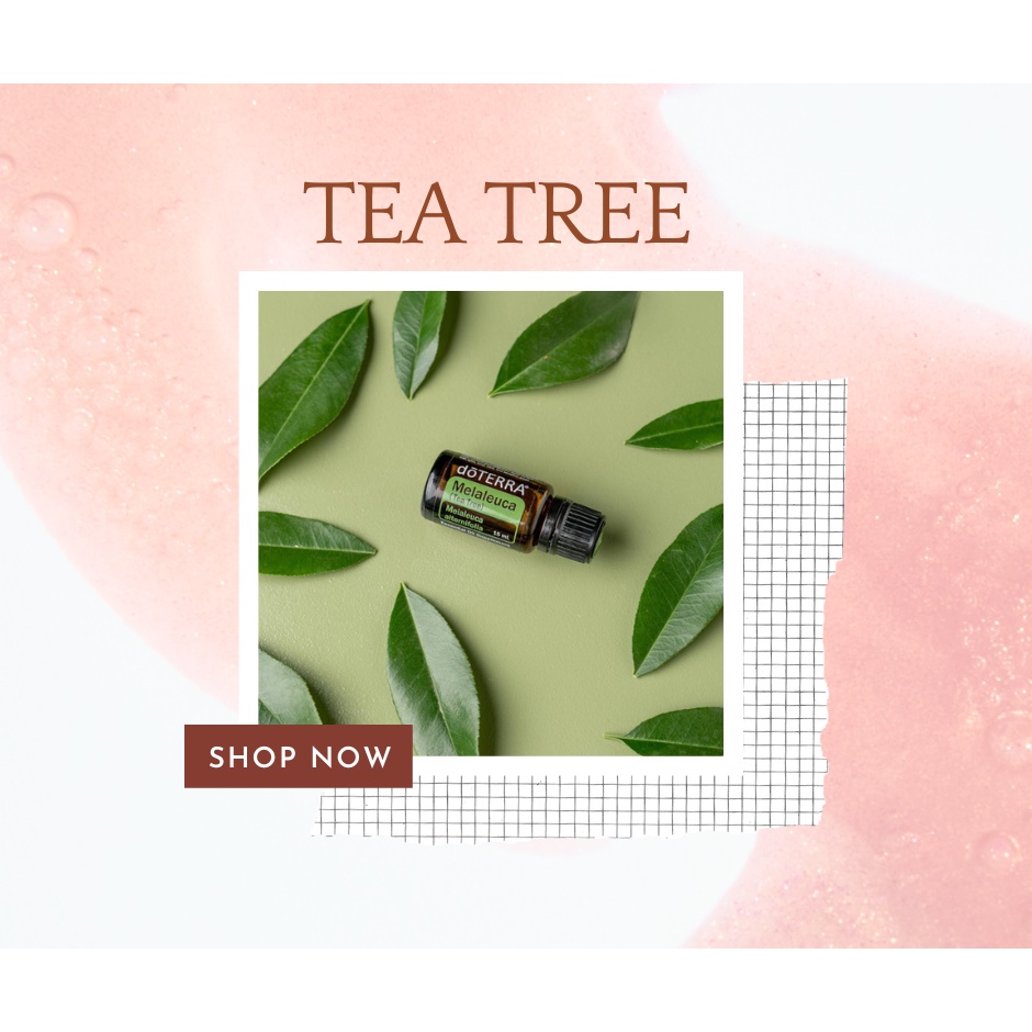 d.o.T.E.R.R.A Tea Tree 15ml | Shopee Malaysia