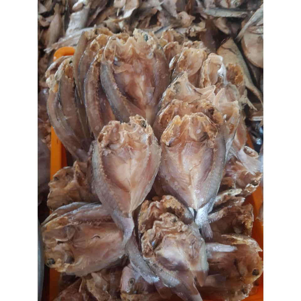 IKAN BEKOK GELAMA SUNGAI | Shopee Malaysia