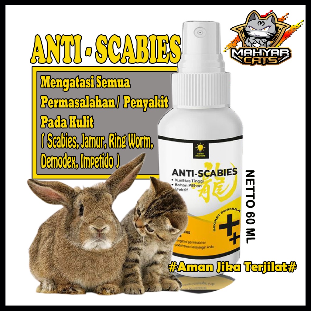 Cat Fungus Medicine SCABIES Demodex Impetigo Fungus Fleas Parasite ...
