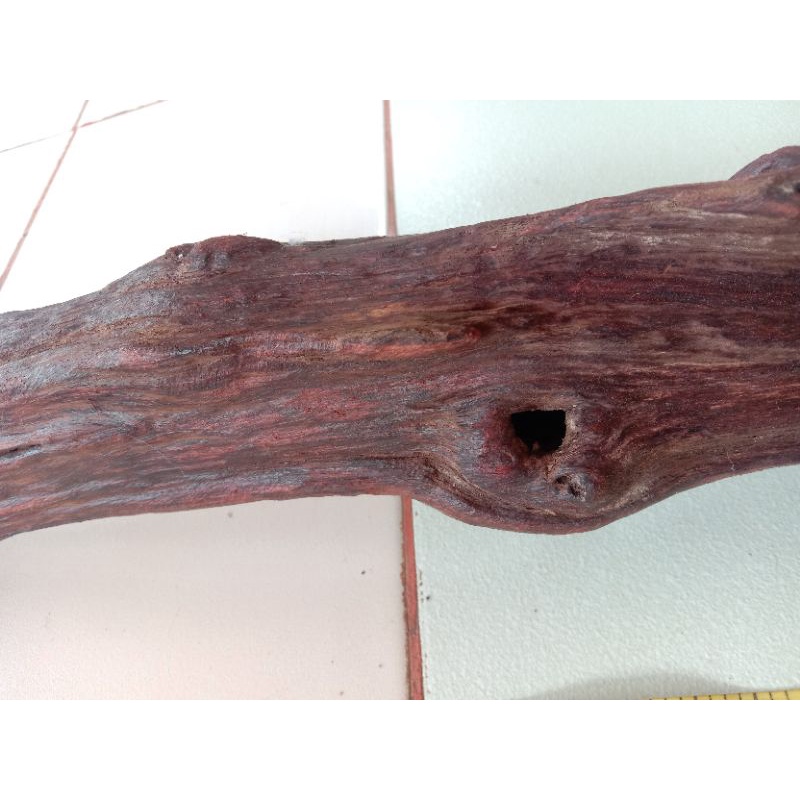 kayu teras menang bentuk original | Shopee Malaysia