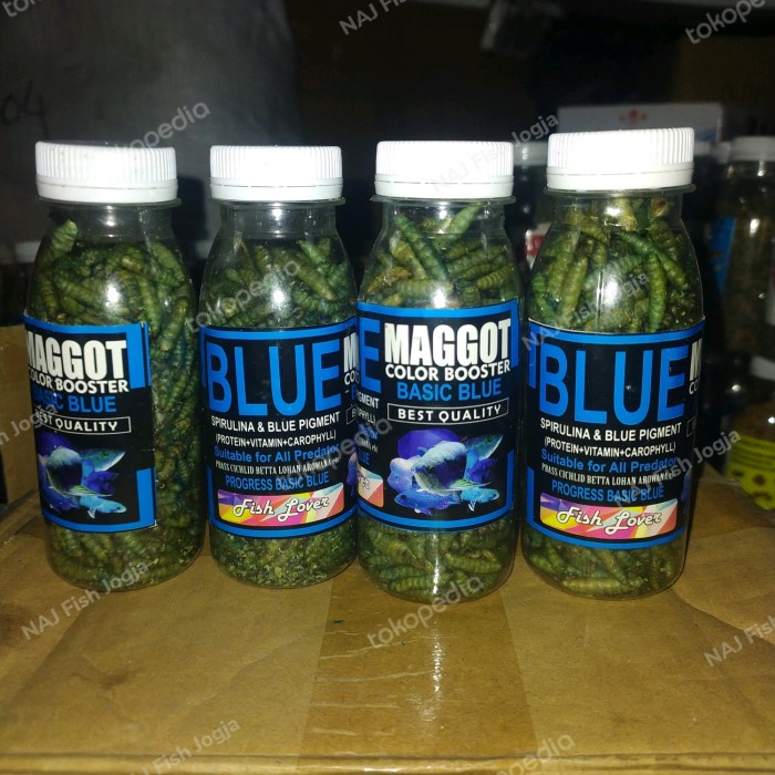 Maggot Super Maggot Blue Channa Proven Effective for Your Favorite ...