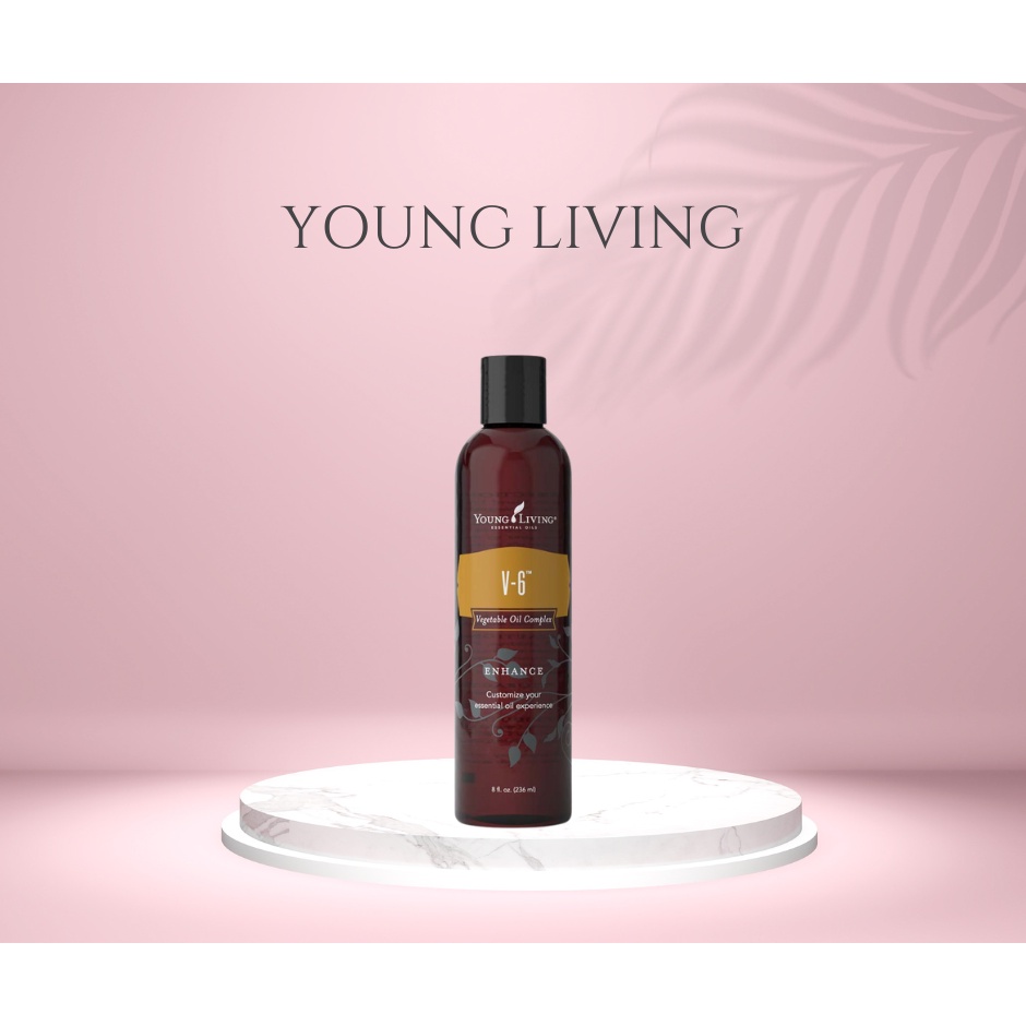 V6 young living store