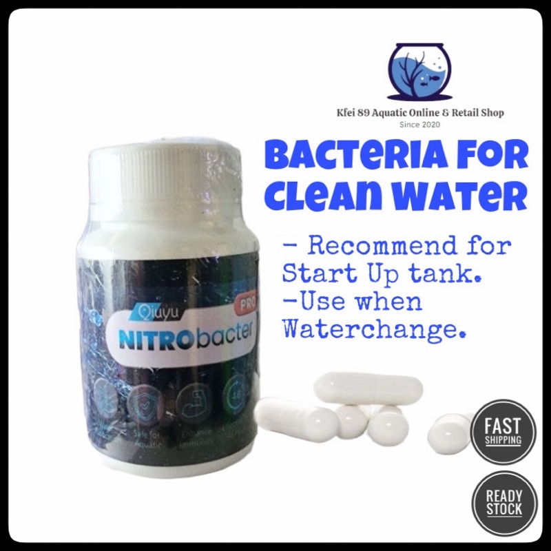 KFEI89 Qiuyu Nitrobacter Pro+ Capsule Concentrated Nitrobacteria ...