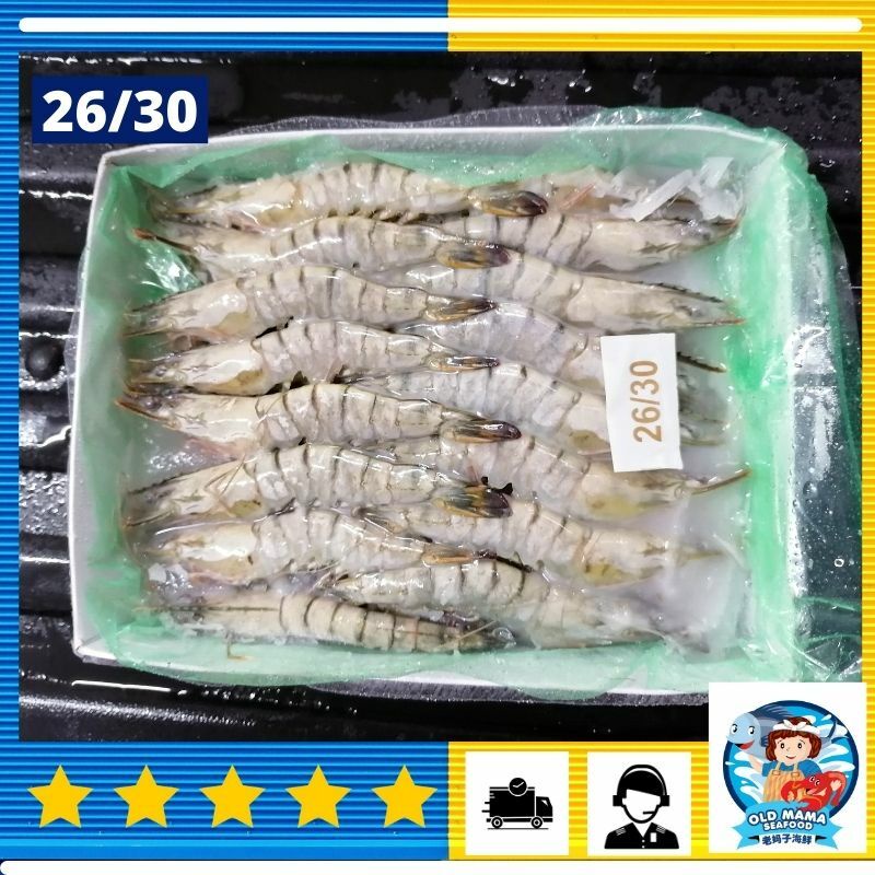 Local Farmed Frozen Tiger Prawn 100 No Chemical 印尼养殖老虎虾 100 没药水 Size