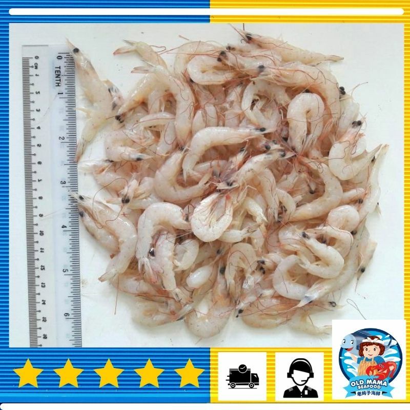 Sekinchan Sea White Baby Prawn (Koebi)/ 适耕庄小白虾 200/300 (500gm/pk) Udang ...