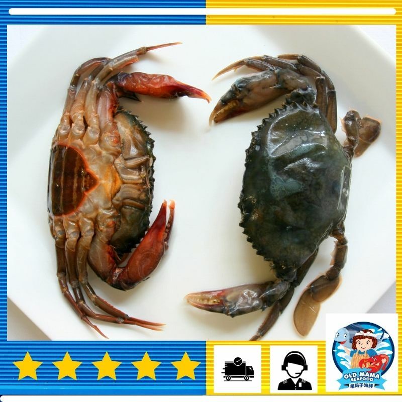 Indonesia Soft Shell Crab / 印尼软壳蟹 (100-120gm/pcs) Ketam Cangkerang ...