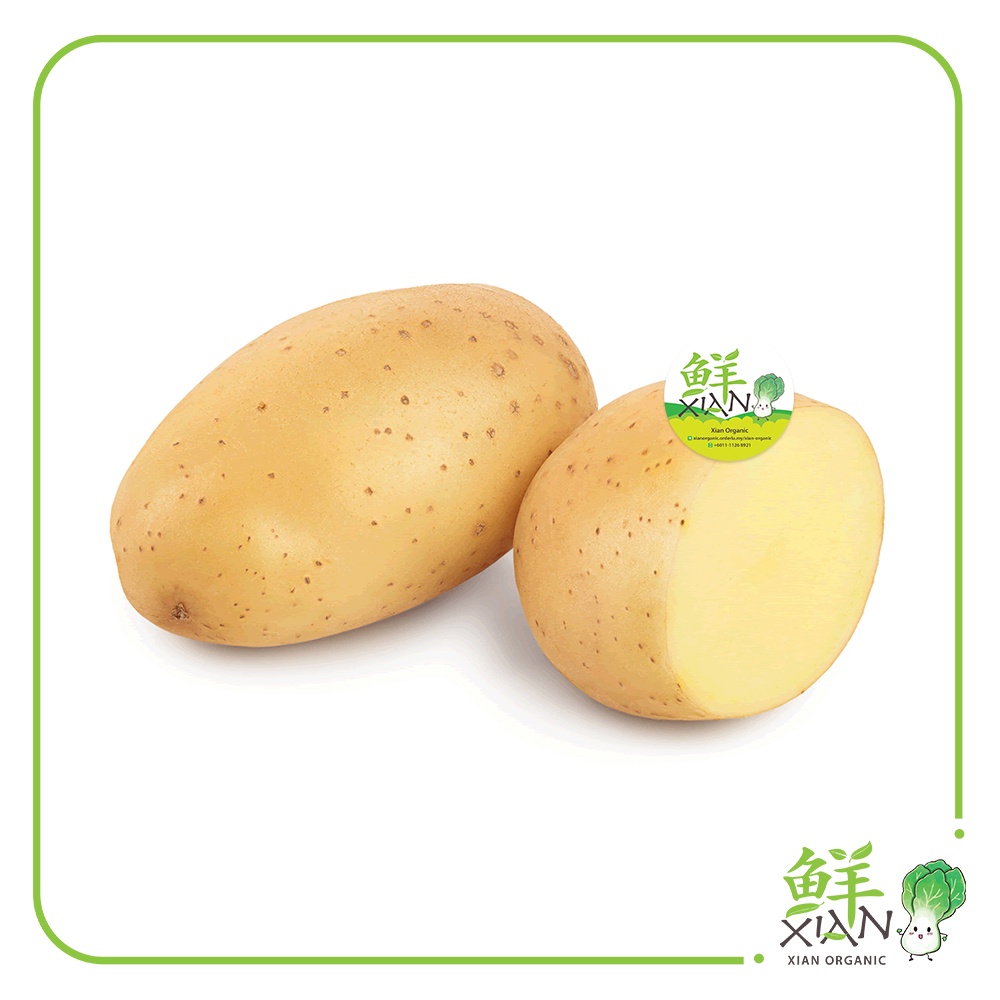 Premium Holland Potatoes (450g-550g) | Shopee Malaysia
