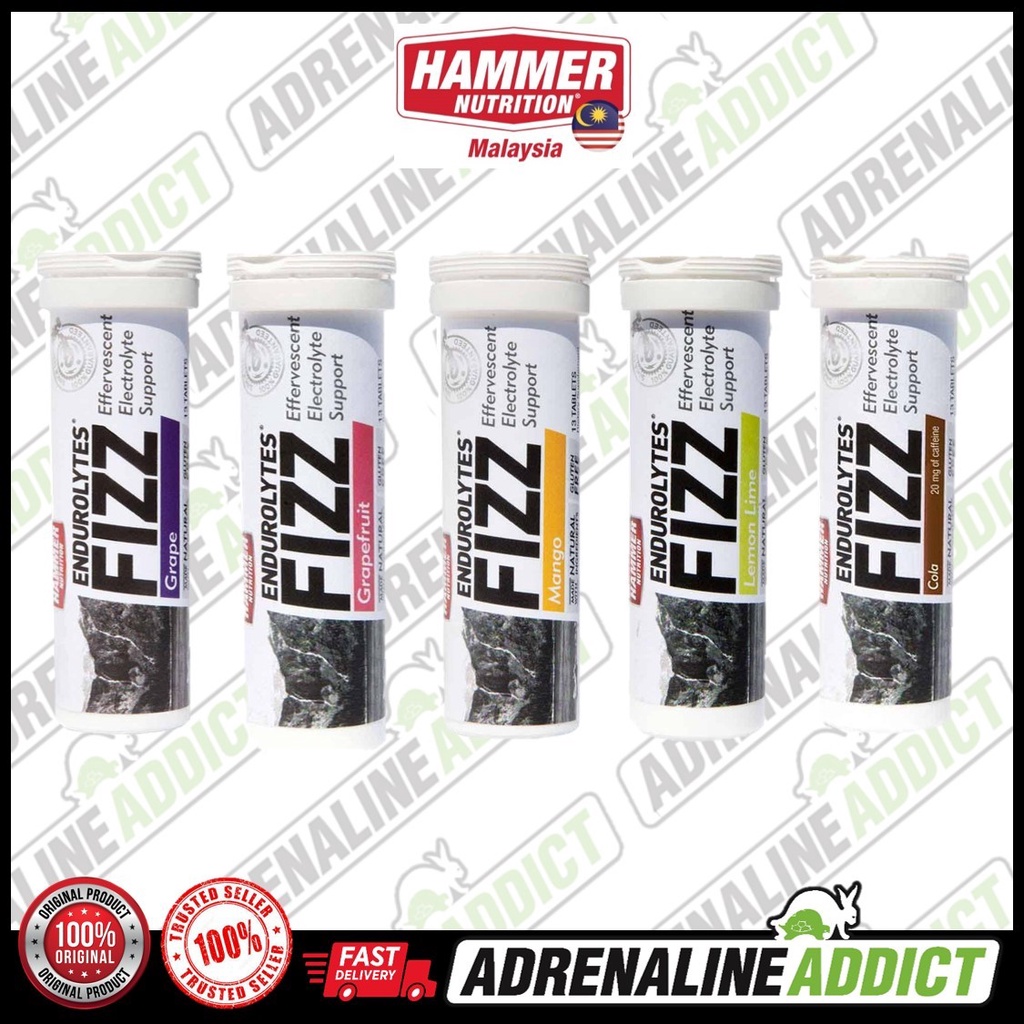 Hammer Nutrition Endurolytes Fizz 13 srv Electrolytes Sports Drink ...