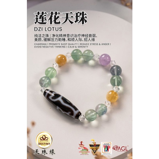 DZI DESTINY 天珠缘｜莲花天珠系列｜人缘姻缘 • 情绪调和 • 启动好运｜Lotus Dzi Bracelet｜Love ...