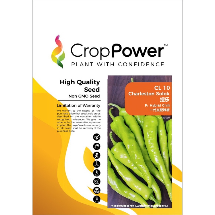 Benih Cili CL10 Charleston Solok F1 Hybrid Chili Crop Power - ( 10g ) 👍 ...