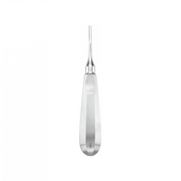 Dental Coupland Root Elevator Fig. 01 | Shopee Malaysia