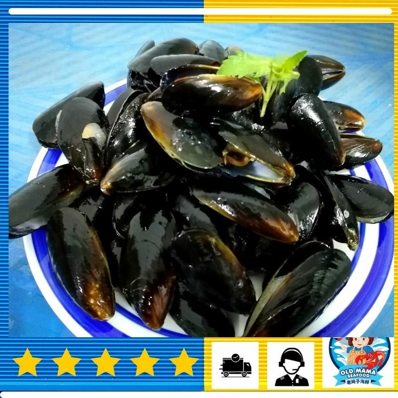 Chile Whole Shell Blue Mussel / 智利整粒蓝贝 (1kg/pk) Kerang Biru Seafood ...