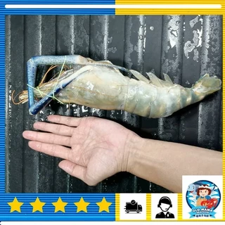 Old Mama Seafood, Online Shop | Shopee Malaysia