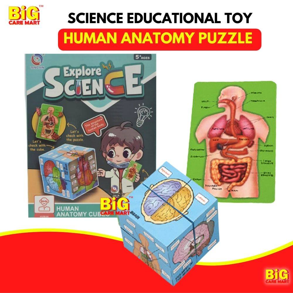 Science Medical Toy | Learn Human Anatomy Cube + Chart [Include ...