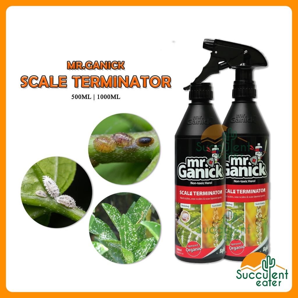 Scale Terminator Mr Ganick Baba Organic Pesticide For Mealy Bugs 介壳虫 ...