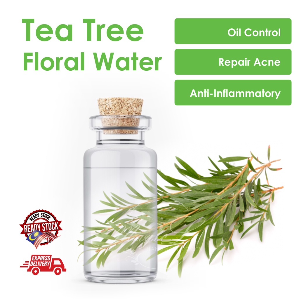 Tea Tree Hydrosol Floral Water Australia Melaleuca Alternifolia Pokok ...