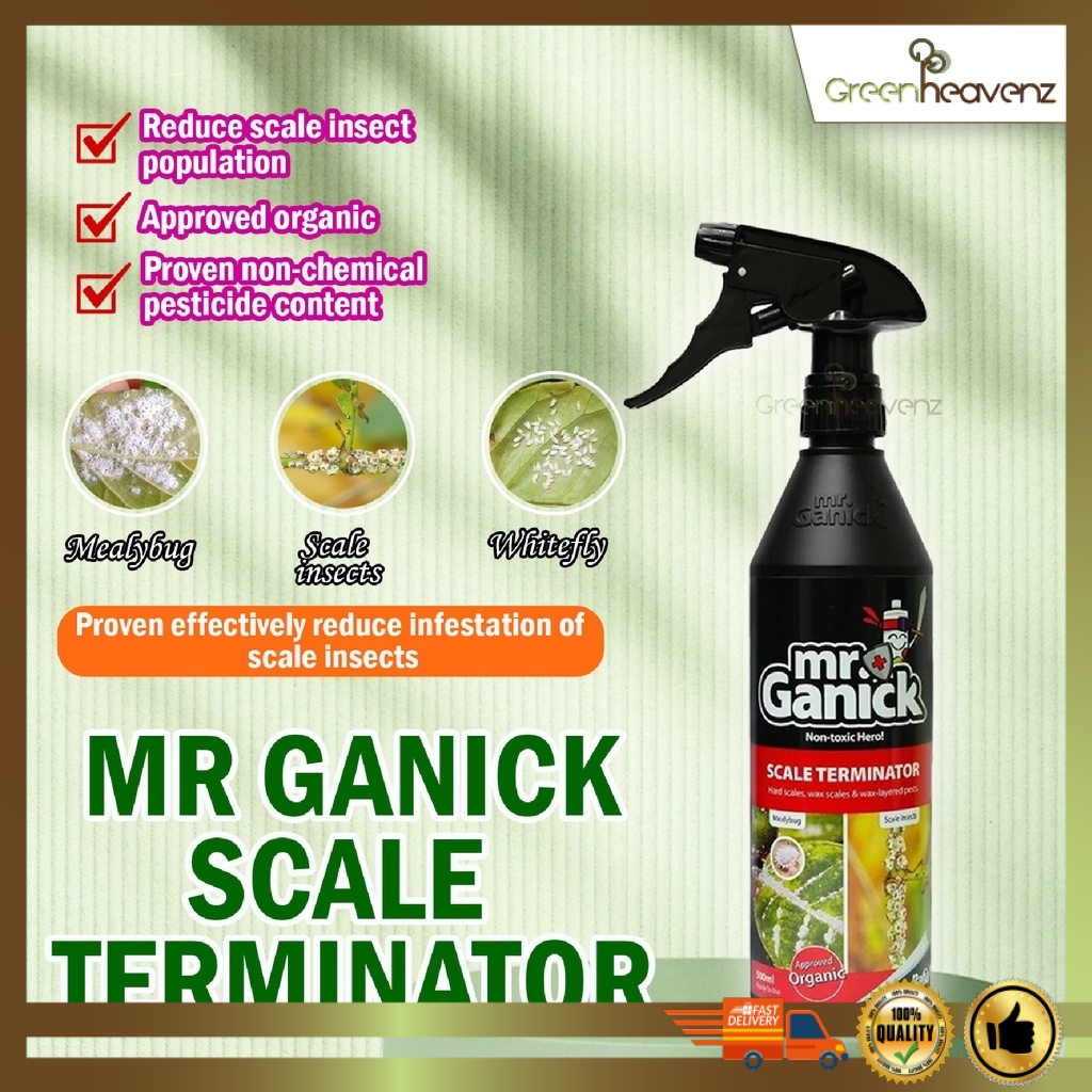 GHZ Baba Mr Ganick Organic Pesticide Scale Terminator 500ML Mealy Bug ...