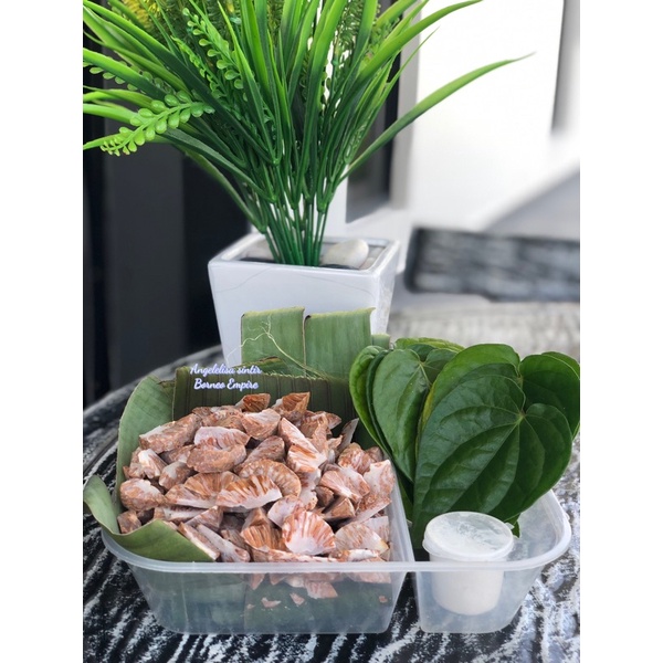 Borneo food 💥Buah pinang segar+Sirih+Kapur/Set bundlle💥 | Shopee Malaysia