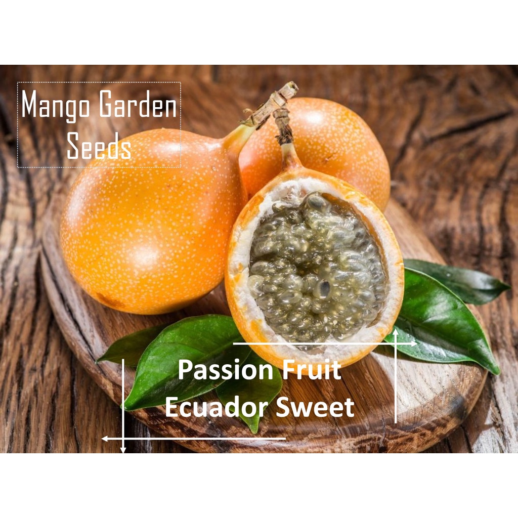 Ecuador Orange Passion Fruit Seeds - 15 Seed *Pot Friendly* Tanam Pasu ...