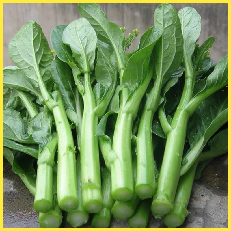 Benih Sawi Hijau (250pcs+/-) ｜ Green Choy Sum Seeds ｜ 绿菜心种子 ｜ 菜心 ｜ Seed ...