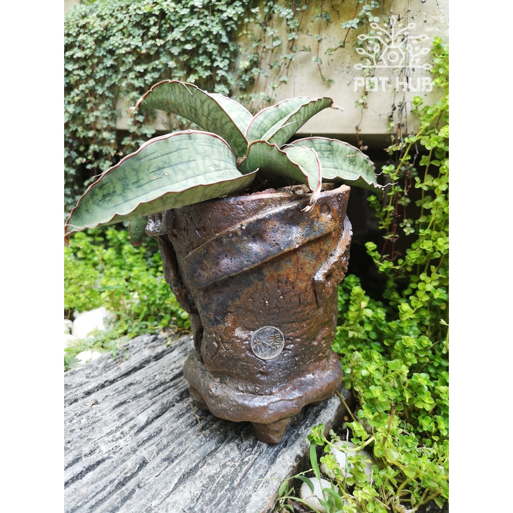 POTHUB Ready Stock Luxury High Quality Rough Unrefined Texture Planter ...