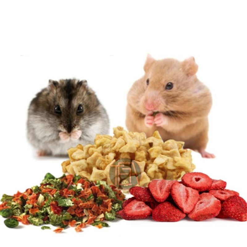 Hamster Dried Snacks / 仓鼠干零食 / 仓鼠、豚鼠和兔子干零食 | Shopee Malaysia
