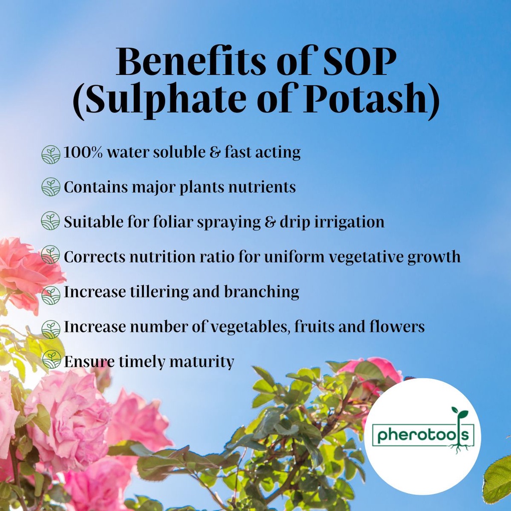 Pherotools (SOP 1KG) Potassium Sulfate Fertilizer/ Sulphate of Potash ...