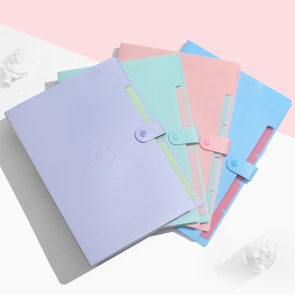 Expanding File/A4 File Folders/Documents Organizer 5 Columns | Shopee ...