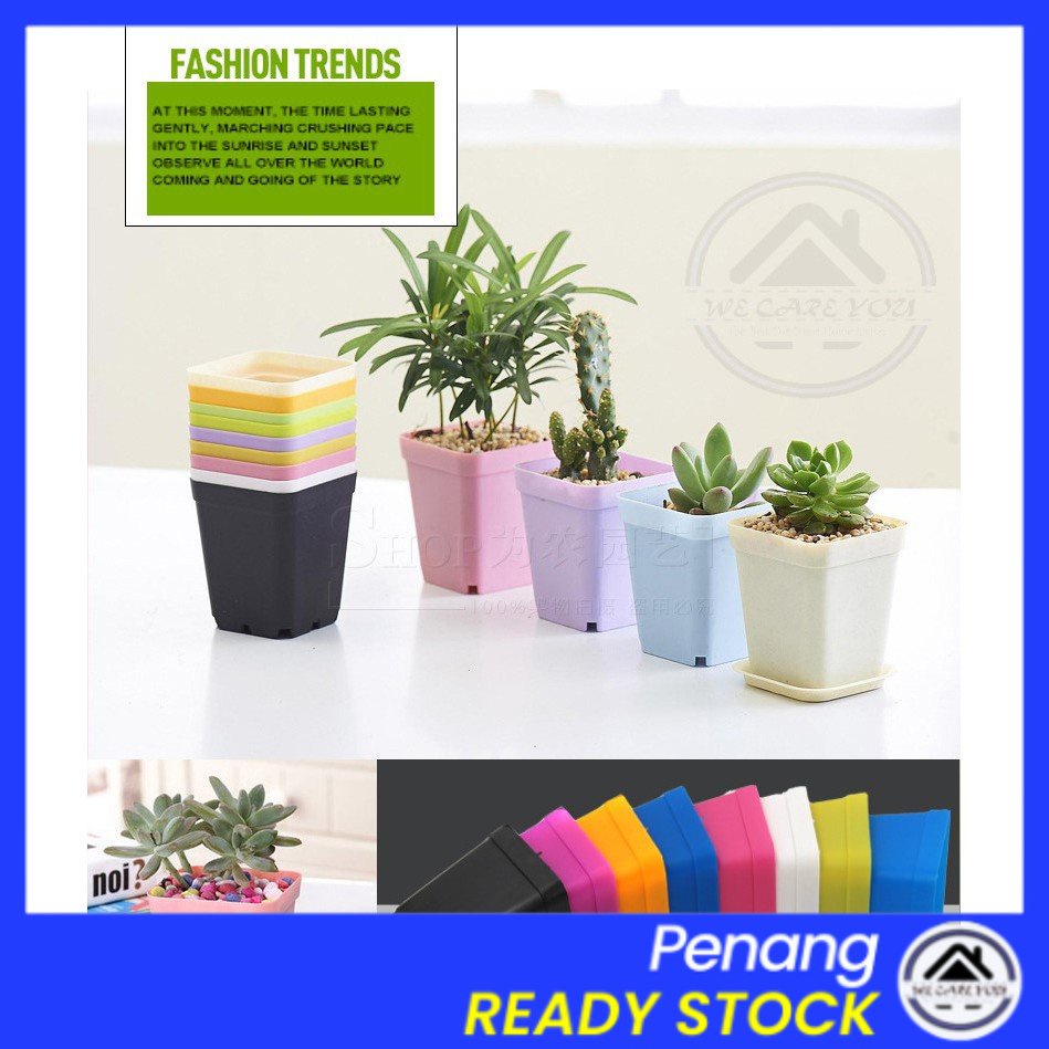 Wecareyou20 Square Plastic Pot 7cm Petak Pasu Putih Pasu Mini Plastik ...