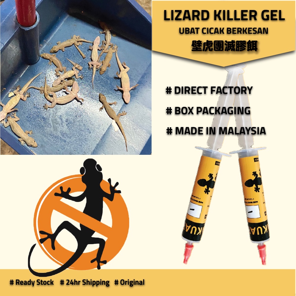 Lizard Gel Bait 10g Ubat Cicak Paling Berkesan 100% Lizard Killer Anti ...