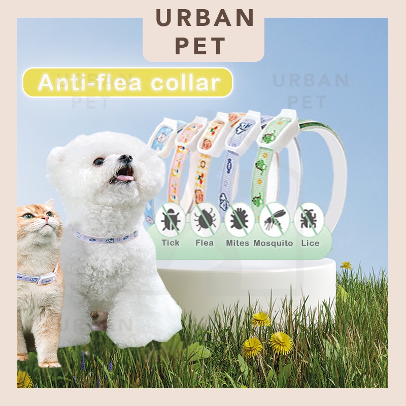 Ready Stock Premium Anti-Flea Collar for Cats and Dogs Adjustable Anti ...