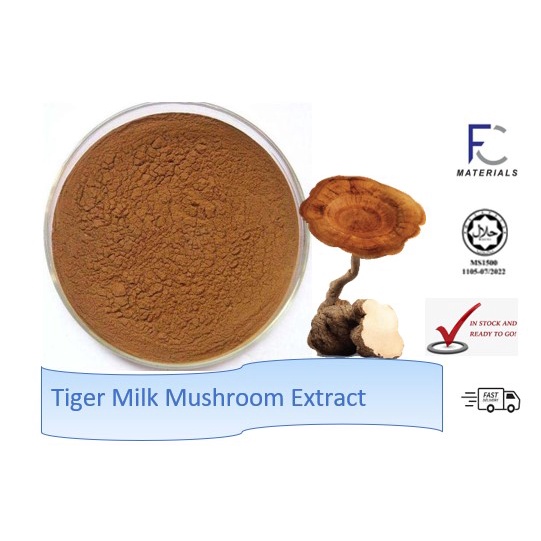 Tiger Milk Mushroom extract / Ekstrak Cendawan Susu Harimau / Product ...
