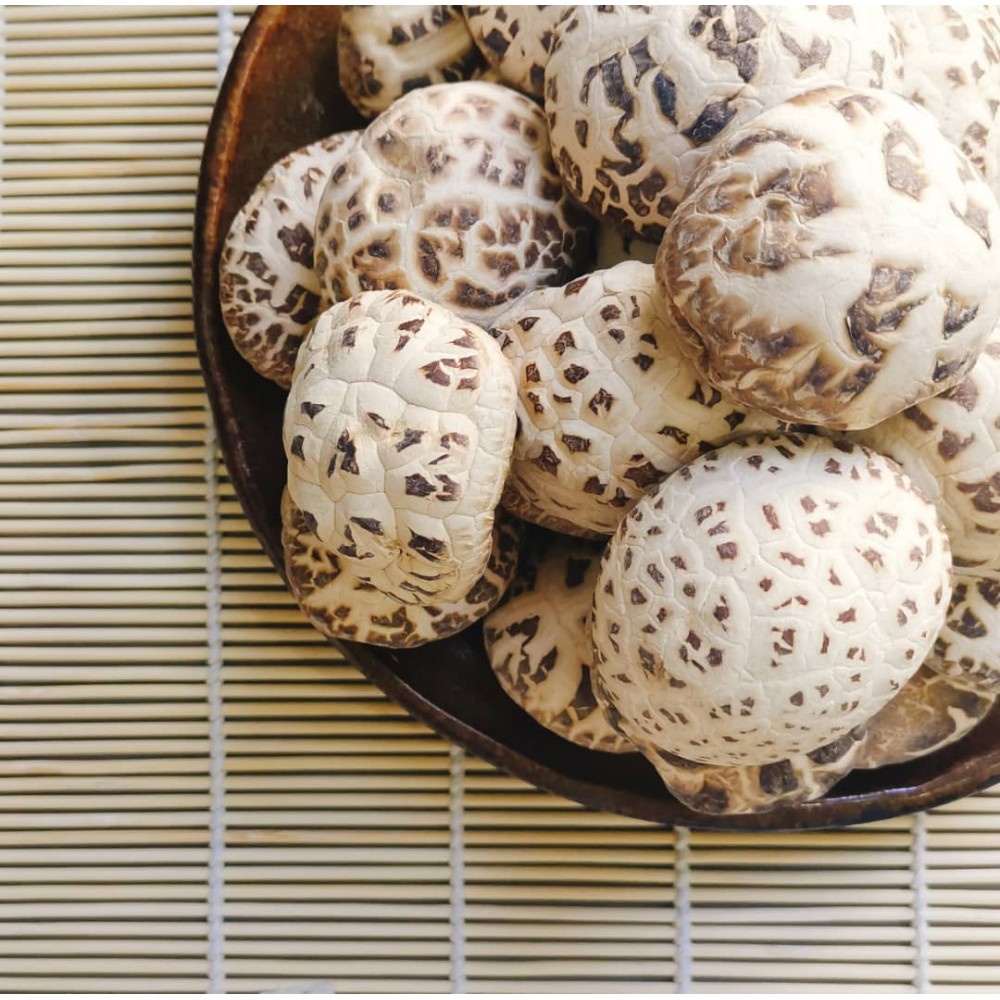 3-4cm Japanese Dried Shiitake Mushroom 日本白花菇 Cendawan Kering Bunga ...