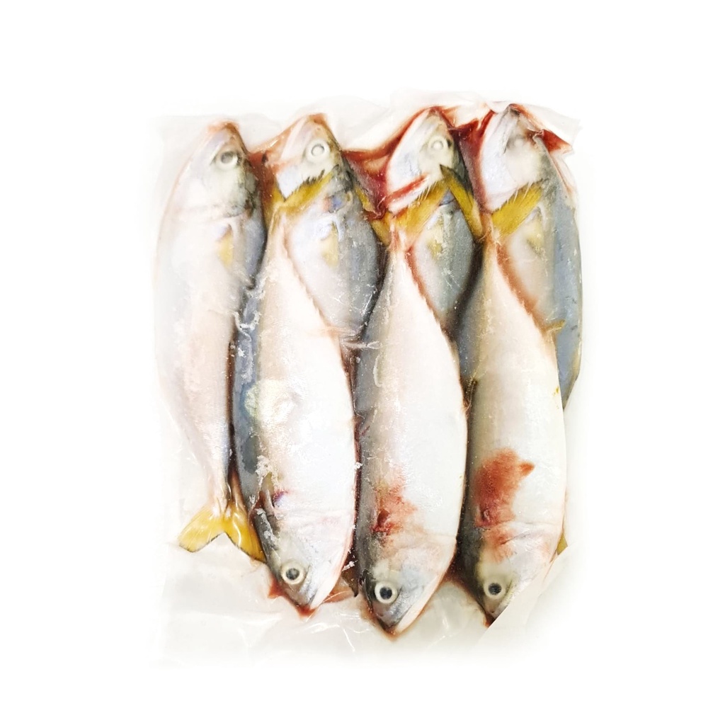 Kampung Fish 甘榜鱼 (Organs removed) | Shopee Malaysia