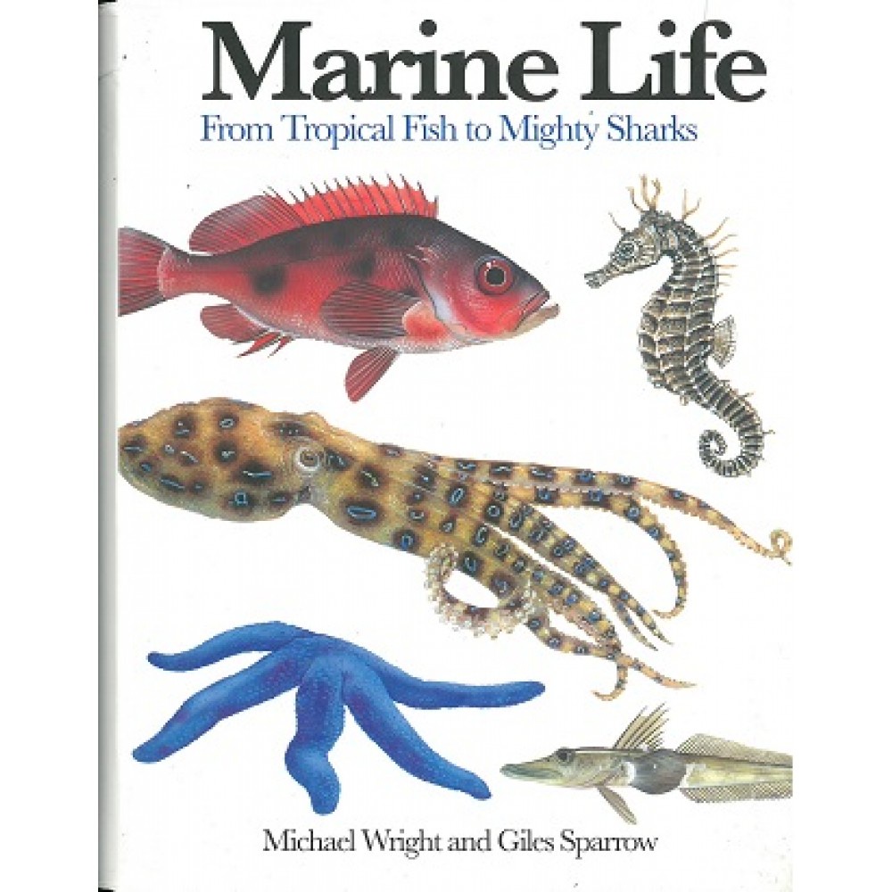 Mini Encyclopedia: Stars & Planets/ Pets/ Dinosaurs /Mammals / Human ...